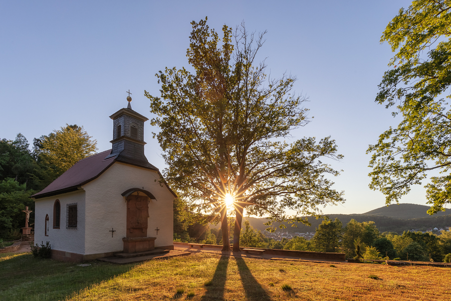City of Dahn, where the Palatinate is even more beautiful.